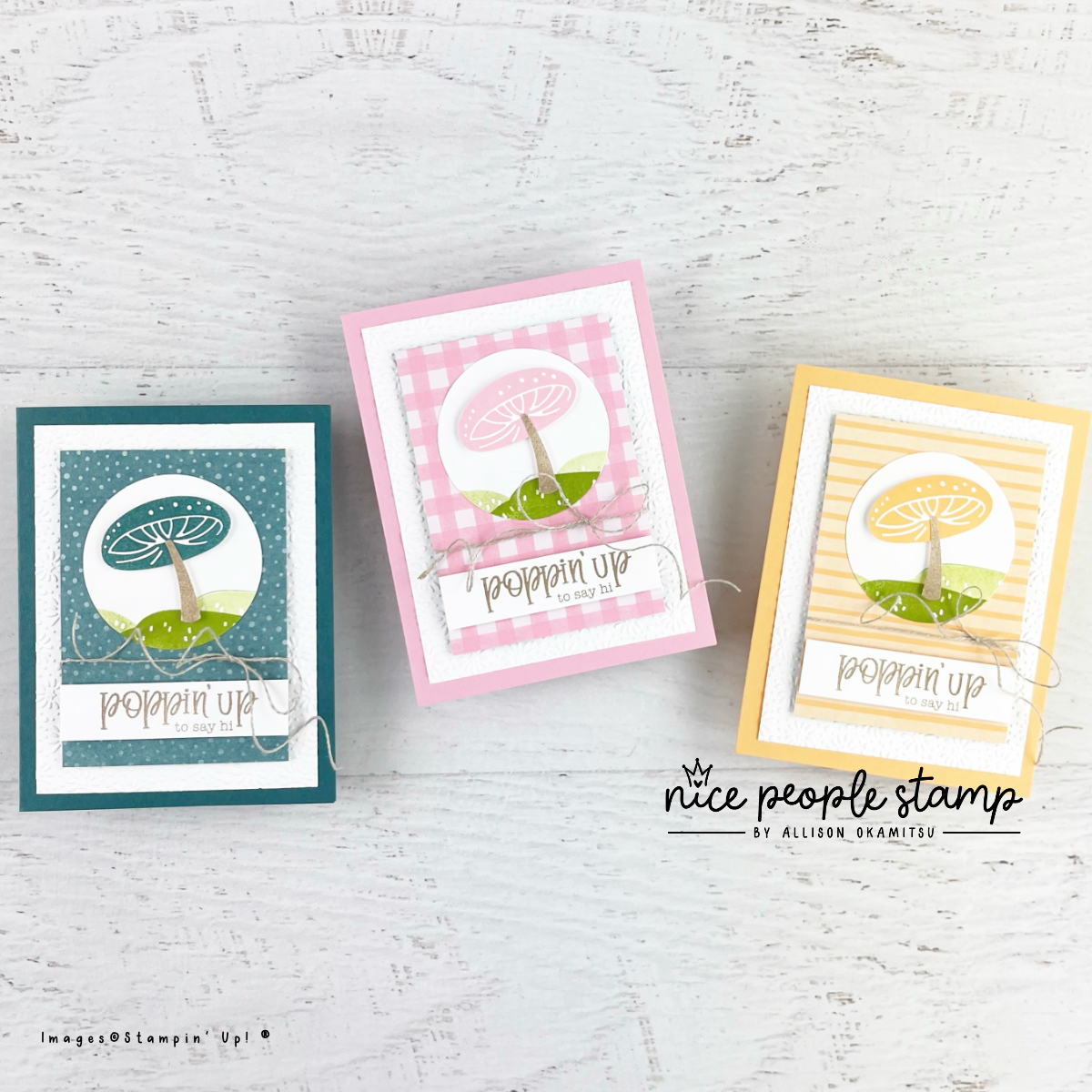 Terrific Toadstools Bundle | Trio of Cards